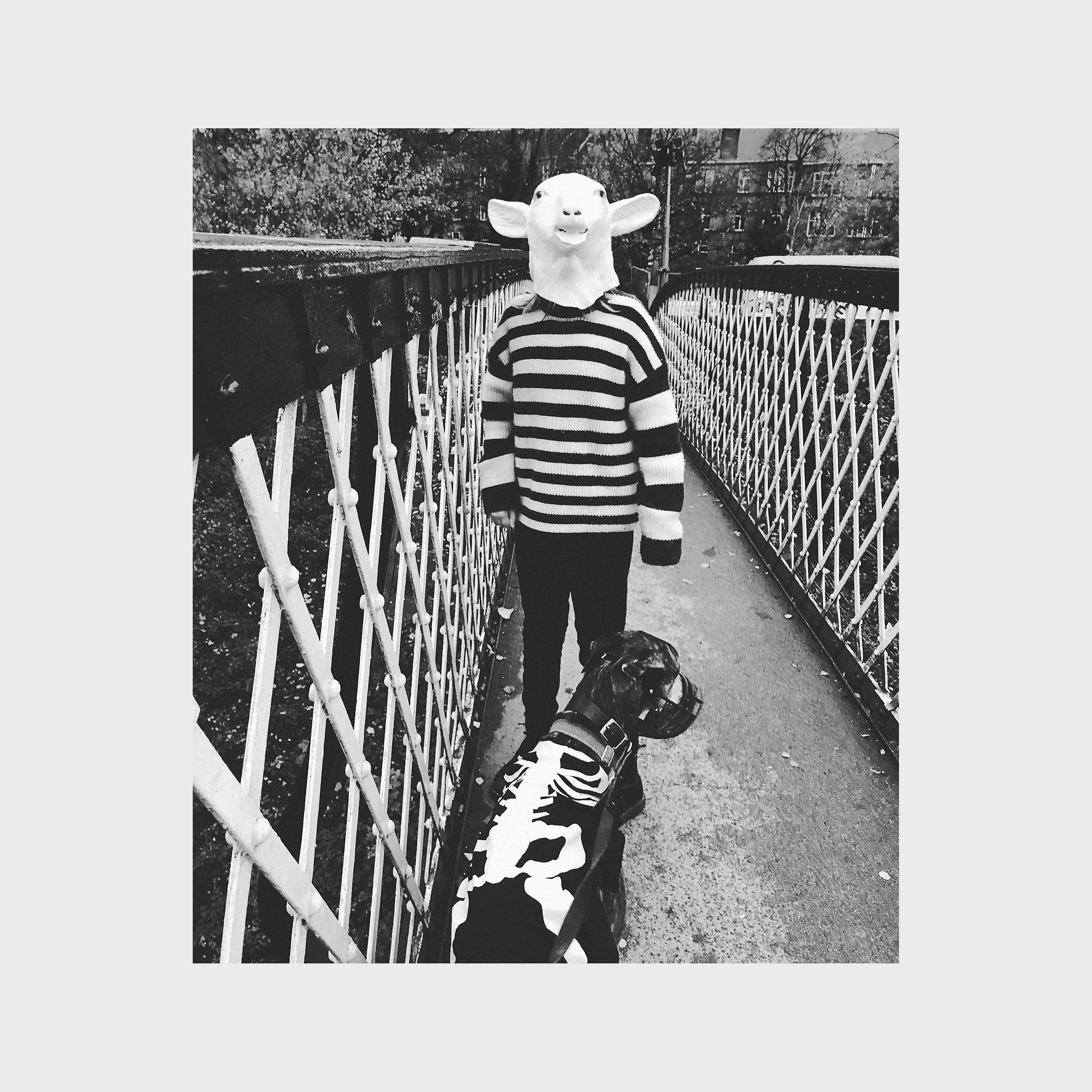 Kathryn Joseph Official Website – kathrynjoseph